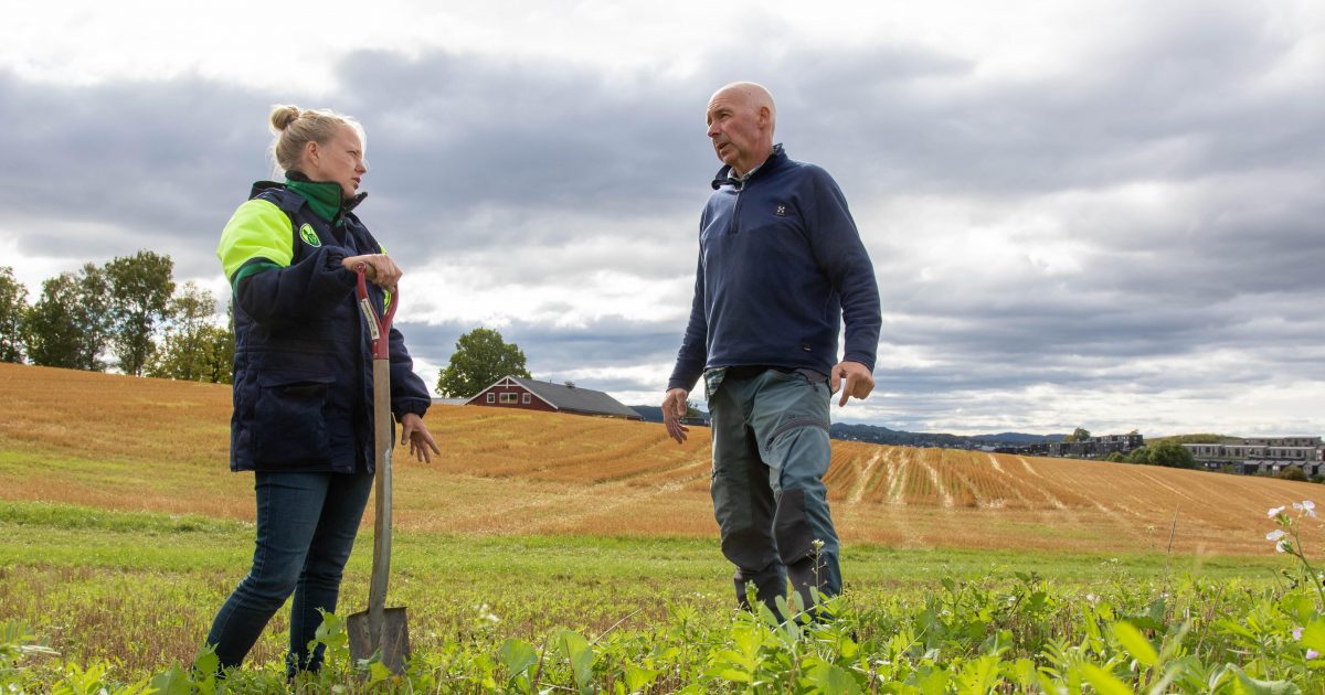 Fra plog til direktesåing | Norsk Landbruksrådgiving