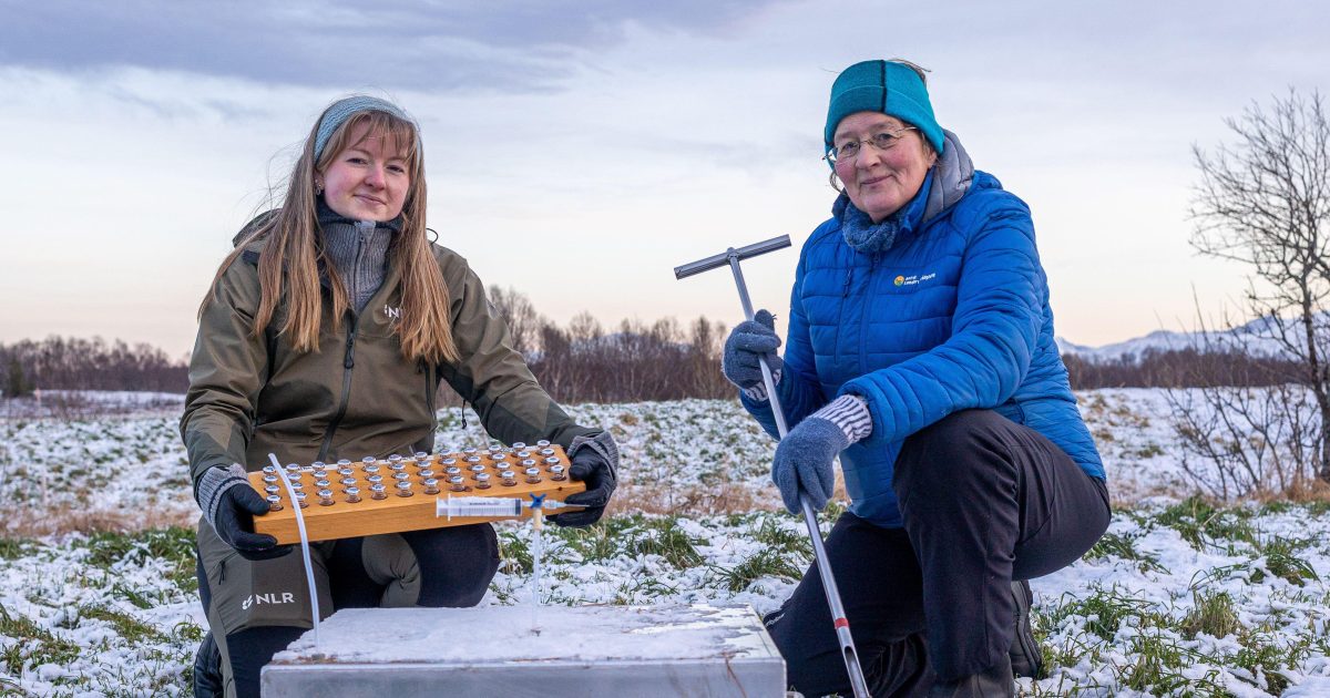 Måler klimagassutslipp på dyrka myr i… | Norsk Landbruksrådgiving