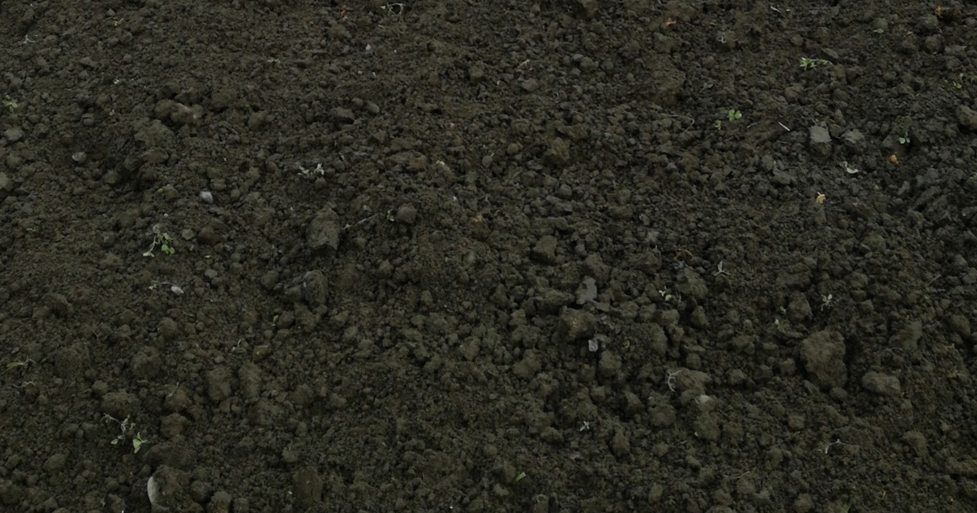 Betydningen av organisk materiale i jorda… | Norsk Landbruksrådgiving