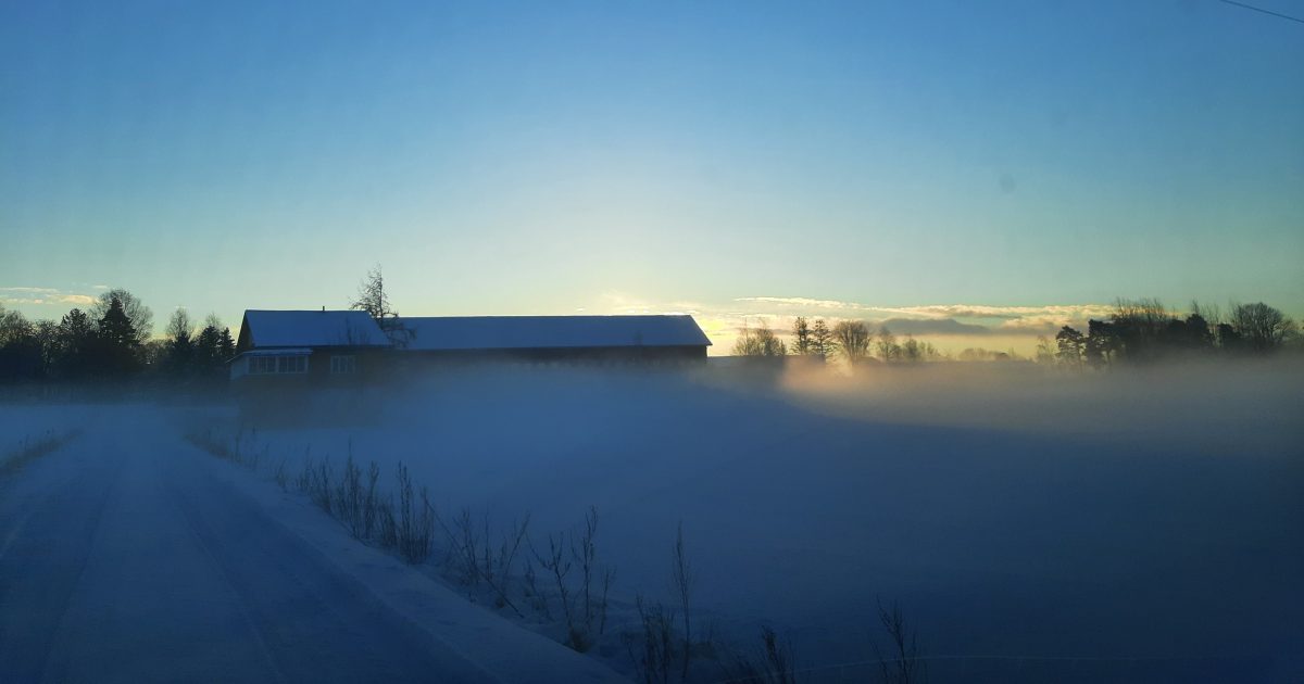 Skal du bygge? Har du SHA-plan? | Norsk Landbruksrådgiving