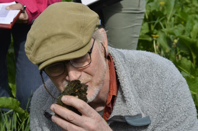 Målrettet beiting for bedre jord- og… | Norsk Landbruksrådgiving