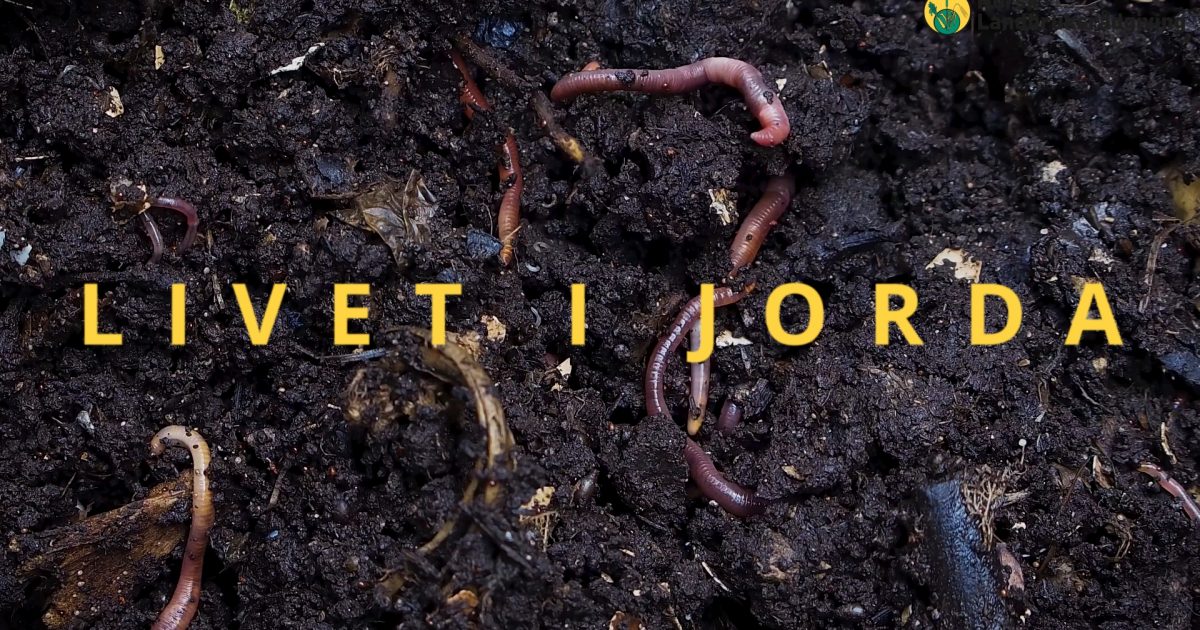Livet i Jorda - en film av NLR Viken om… | Norsk Landbruksrådgiving