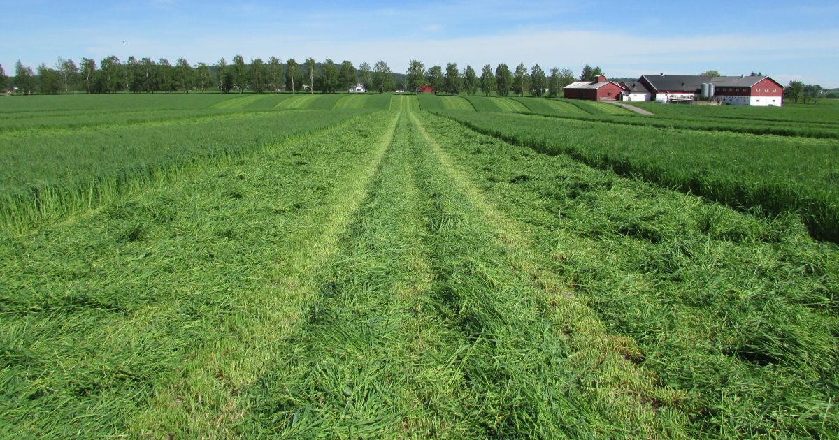 mimiro, landbruksrådgiving, inngår, norsk,… | Norsk Landbruksrådgiving