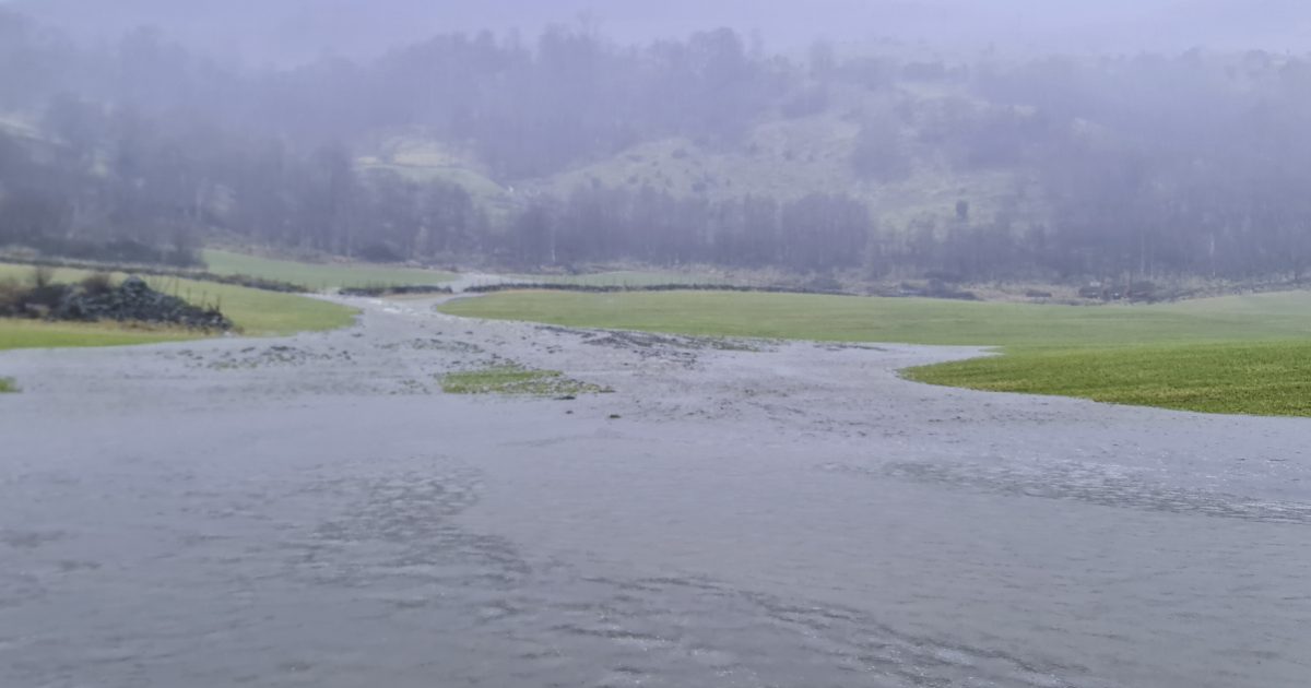 Våtare og varmare klima | Norsk Landbruksrådgiving