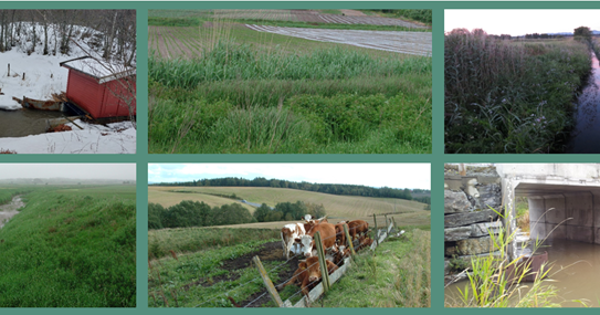 Fagdag på NIBIO Landvik | Norsk Landbruksrådgiving