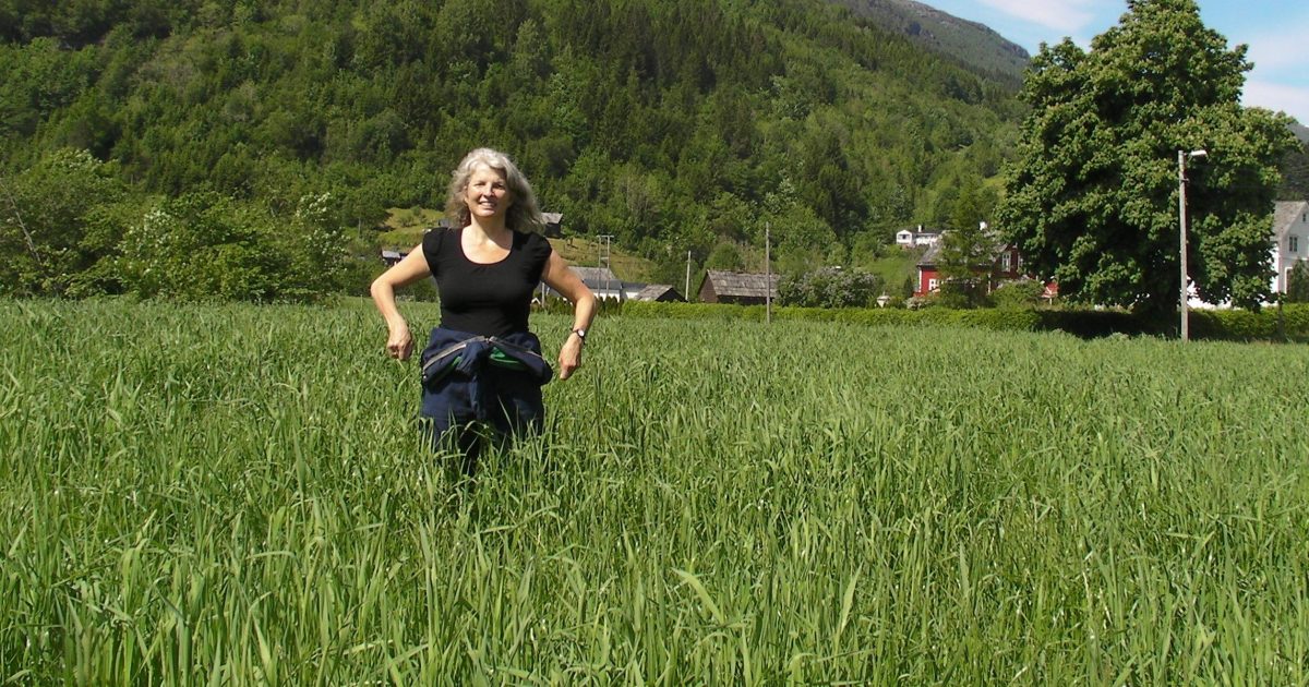 Slik får du bedre surfôr! | Norsk Landbruksrådgiving