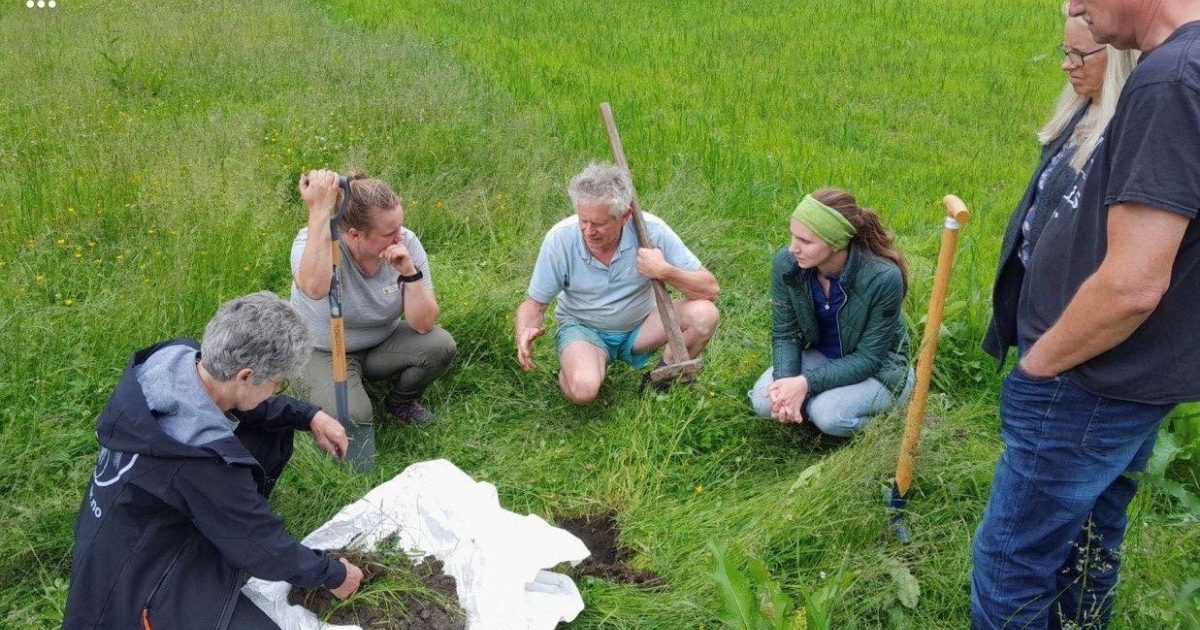 Rapport frå markdag på bruk med økologisk… | Norsk Landbruksrådgiving