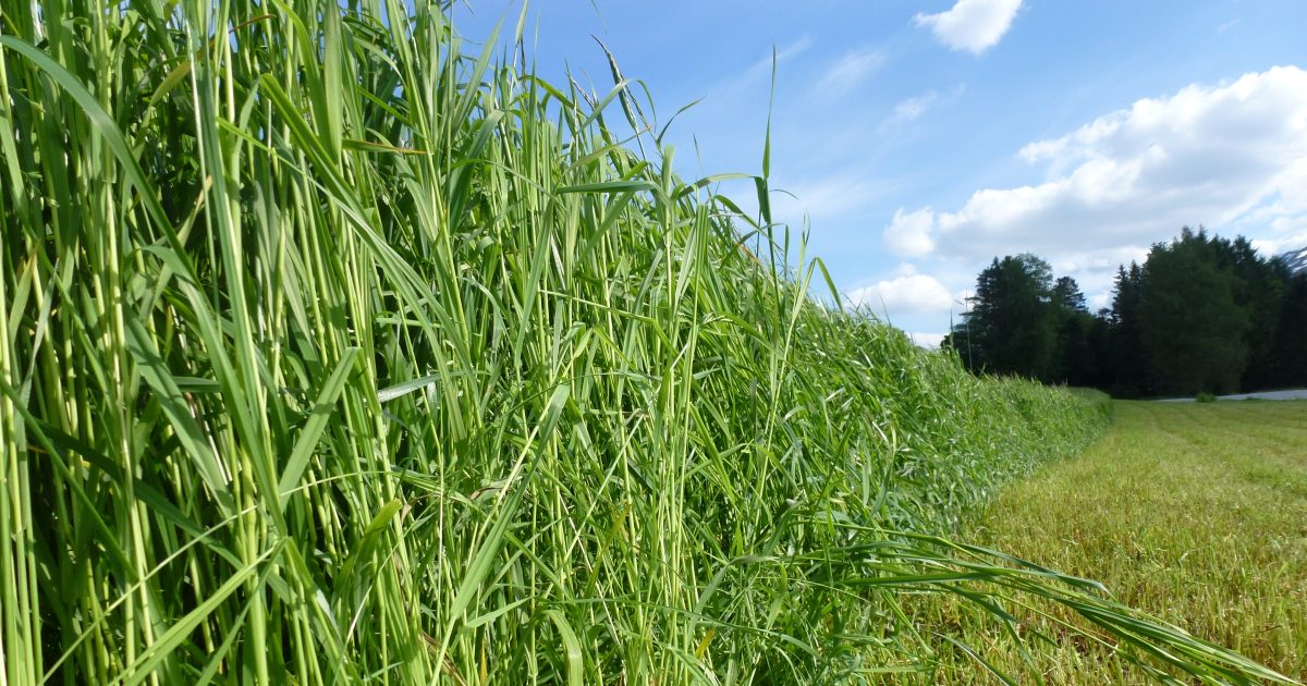 Oppsummering frå jordkarbonkonferansen på… | Norsk Landbruksrådgiving